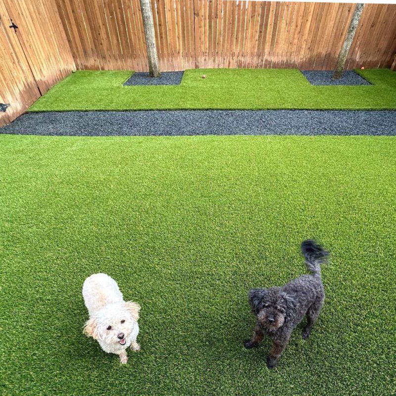 Artificial Grass Denver | Synthetic Grass Denver, CO | Grass365